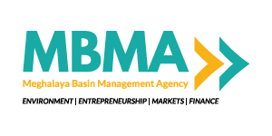 Website Designing and Development Company in Delhi